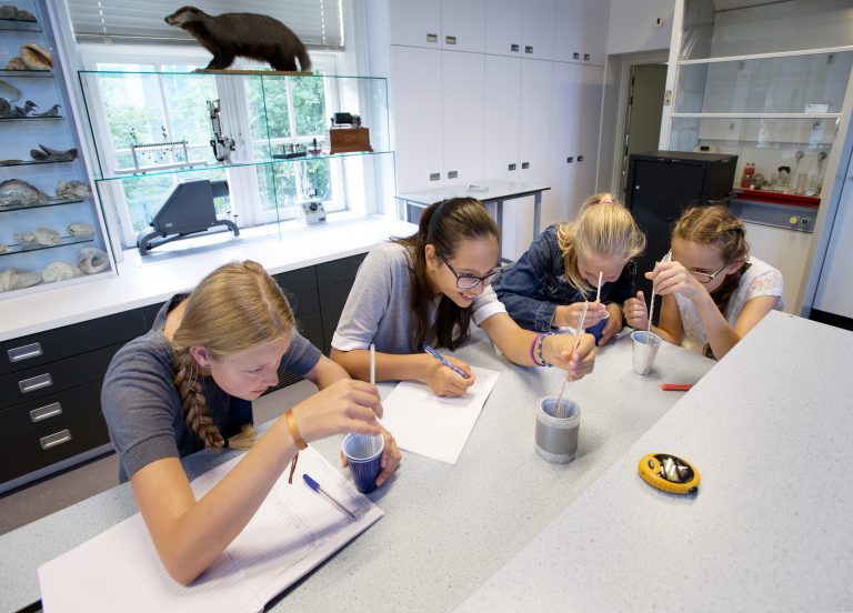 Onderwijsresultaten | Gymnasium Haganum